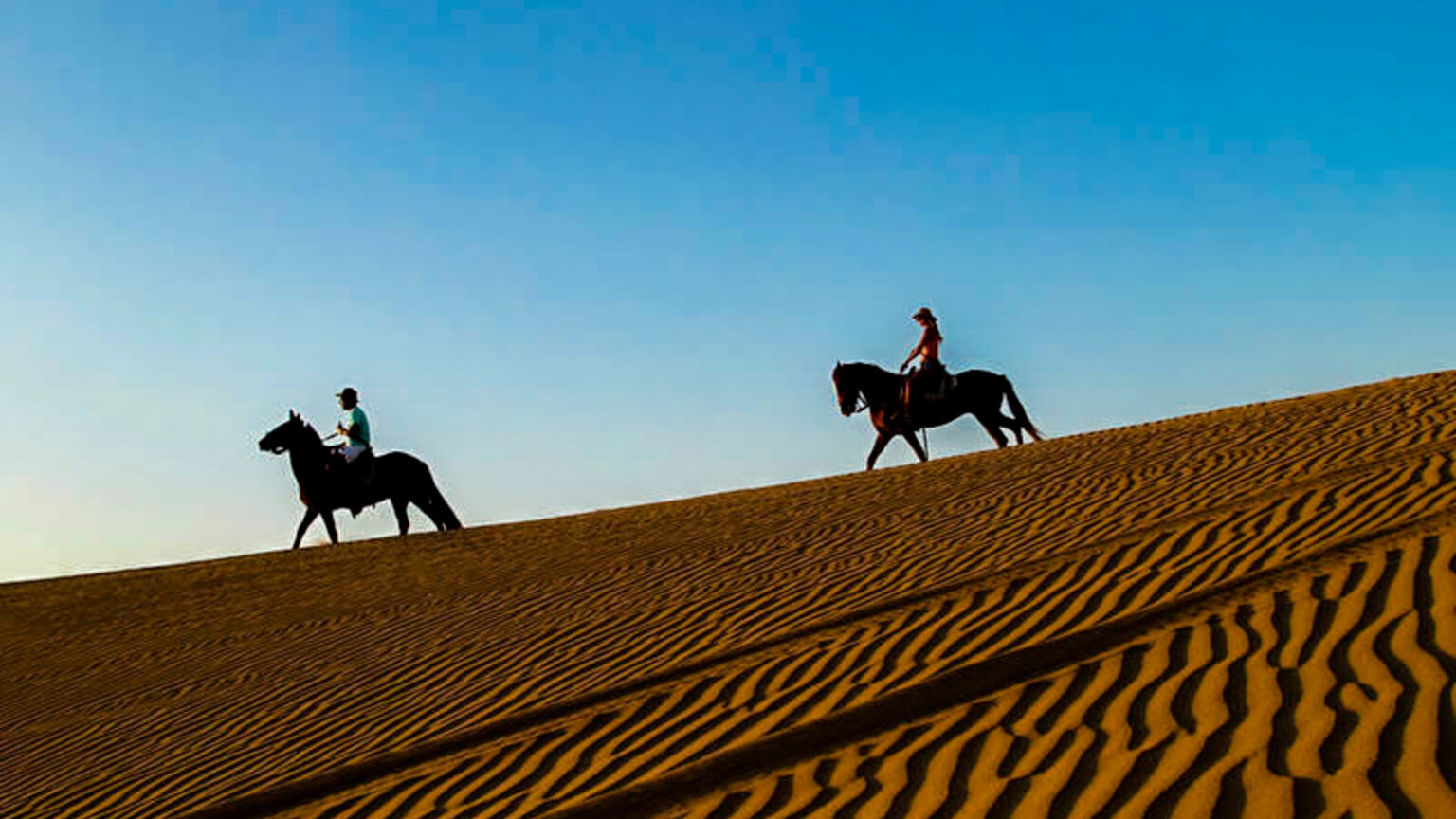 Ica Tours – Alegría Tours Perú